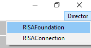 RISAFoundation Interaction